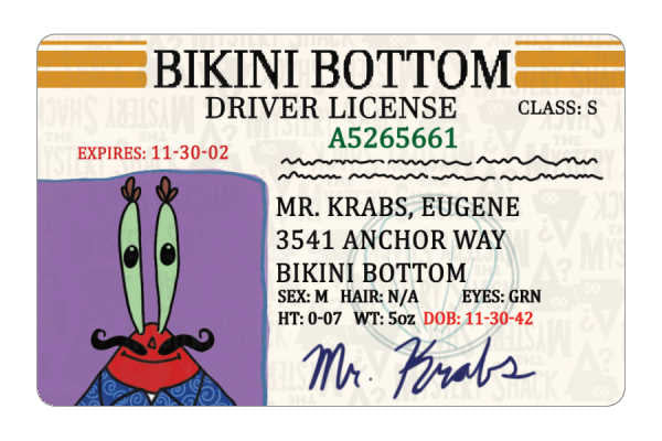 ID Cards - SpongeBob SquarePants - TheMysteryShack