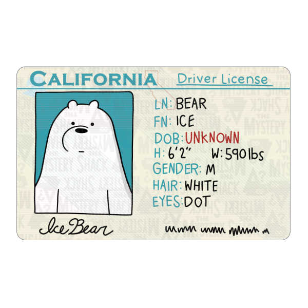 Ice Bear's License - We Bare Bears - TheMysteryShack
